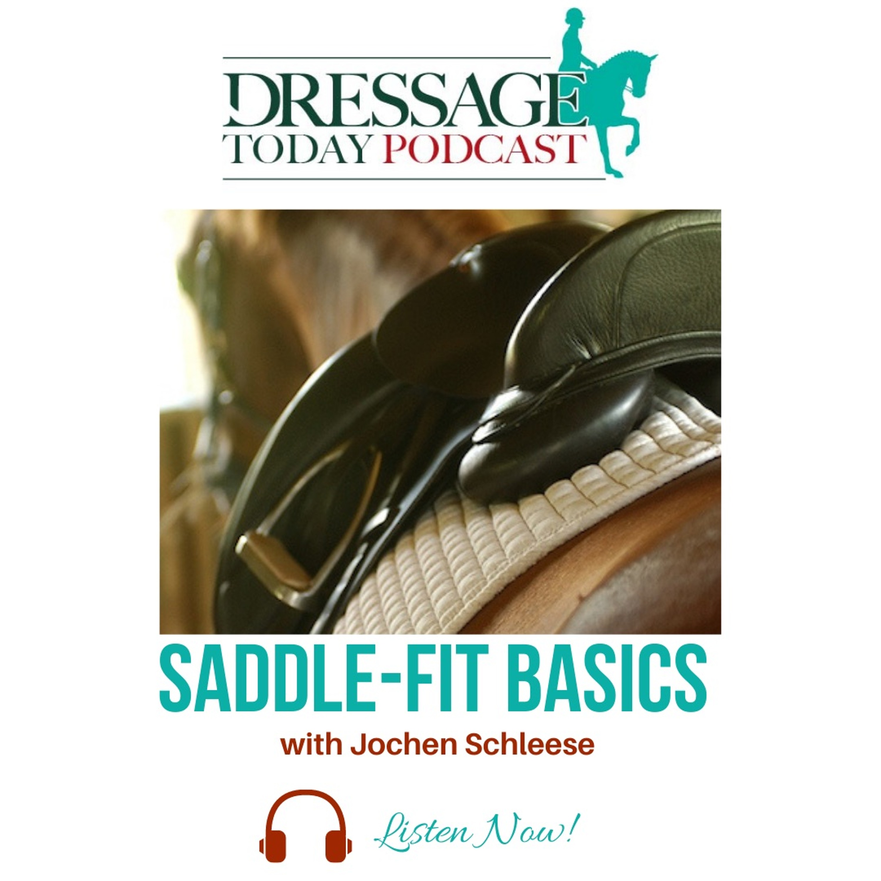 Season 2, Episode 2: Saddle-Fit Basics with Jochen Schleese - Horse ...